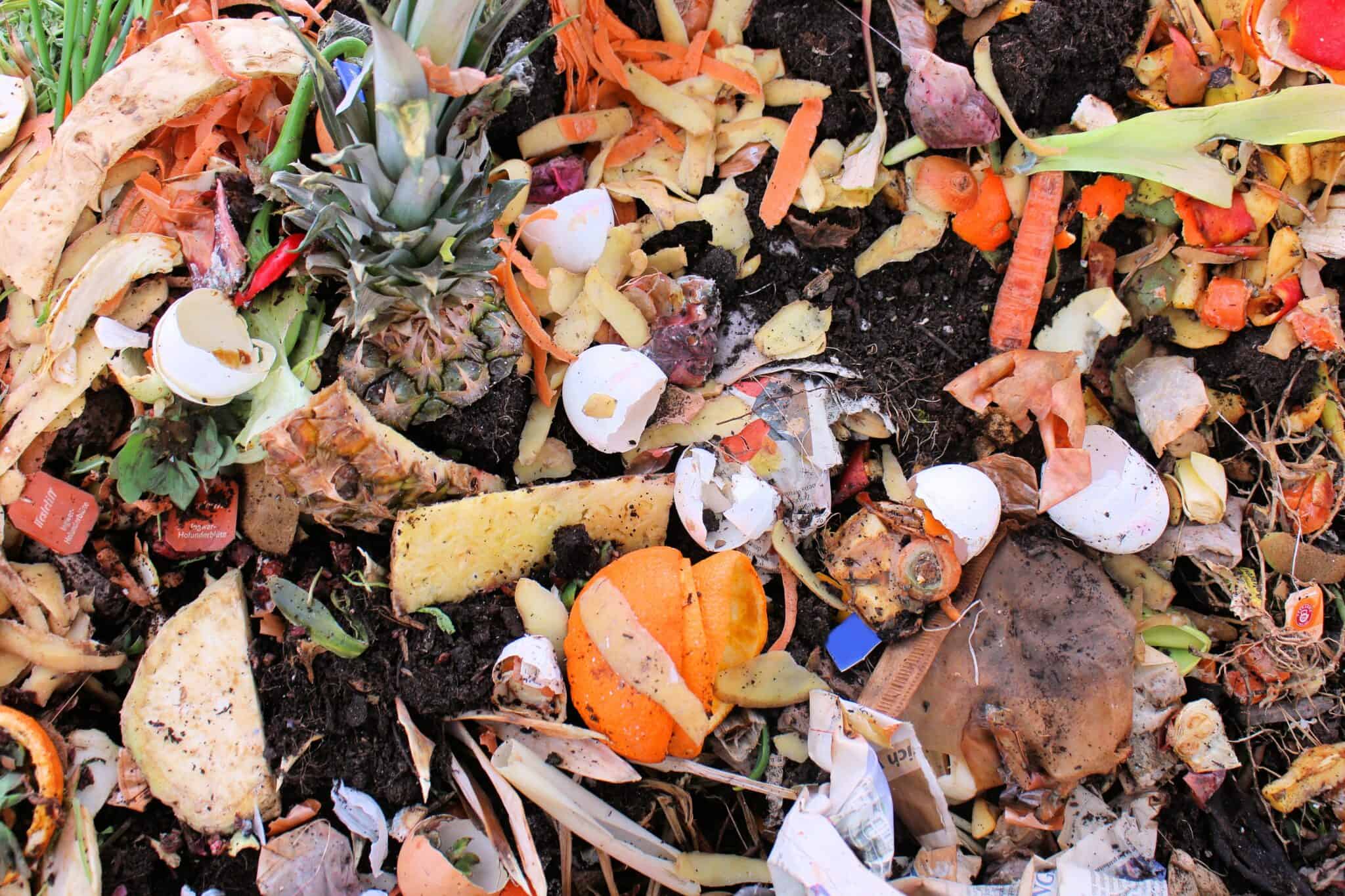 The 10 Best Methods Of Composting Explained & Compared