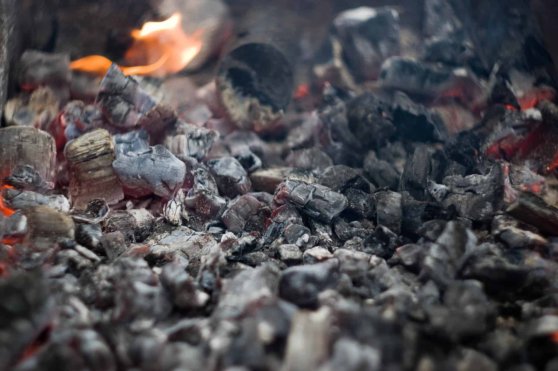 Can I Add Wood Ashes To My Compost? (The Risks and Benefits)