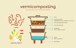 How To Get Started Designing Your Own Vermicomposting System - ThatBackyard